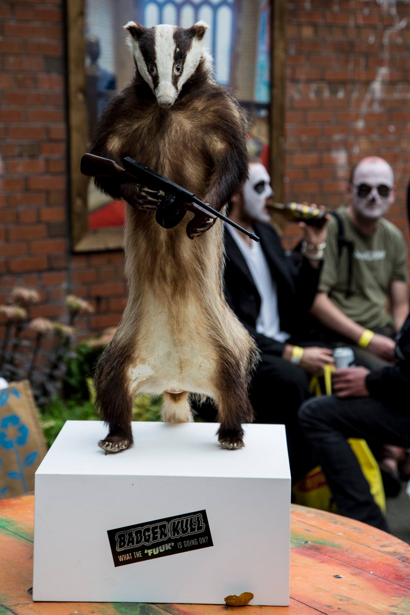 Badger Kull – Through the lens of their Manager: Pete Woodhead ...